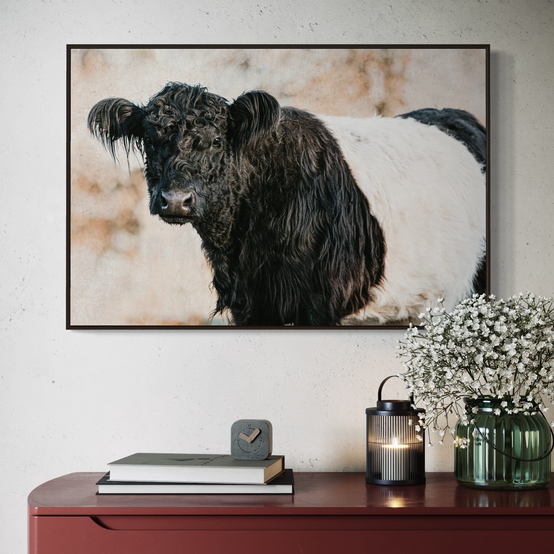 Belted Galloway Cattle Wall Art Collection - Teri James Photography