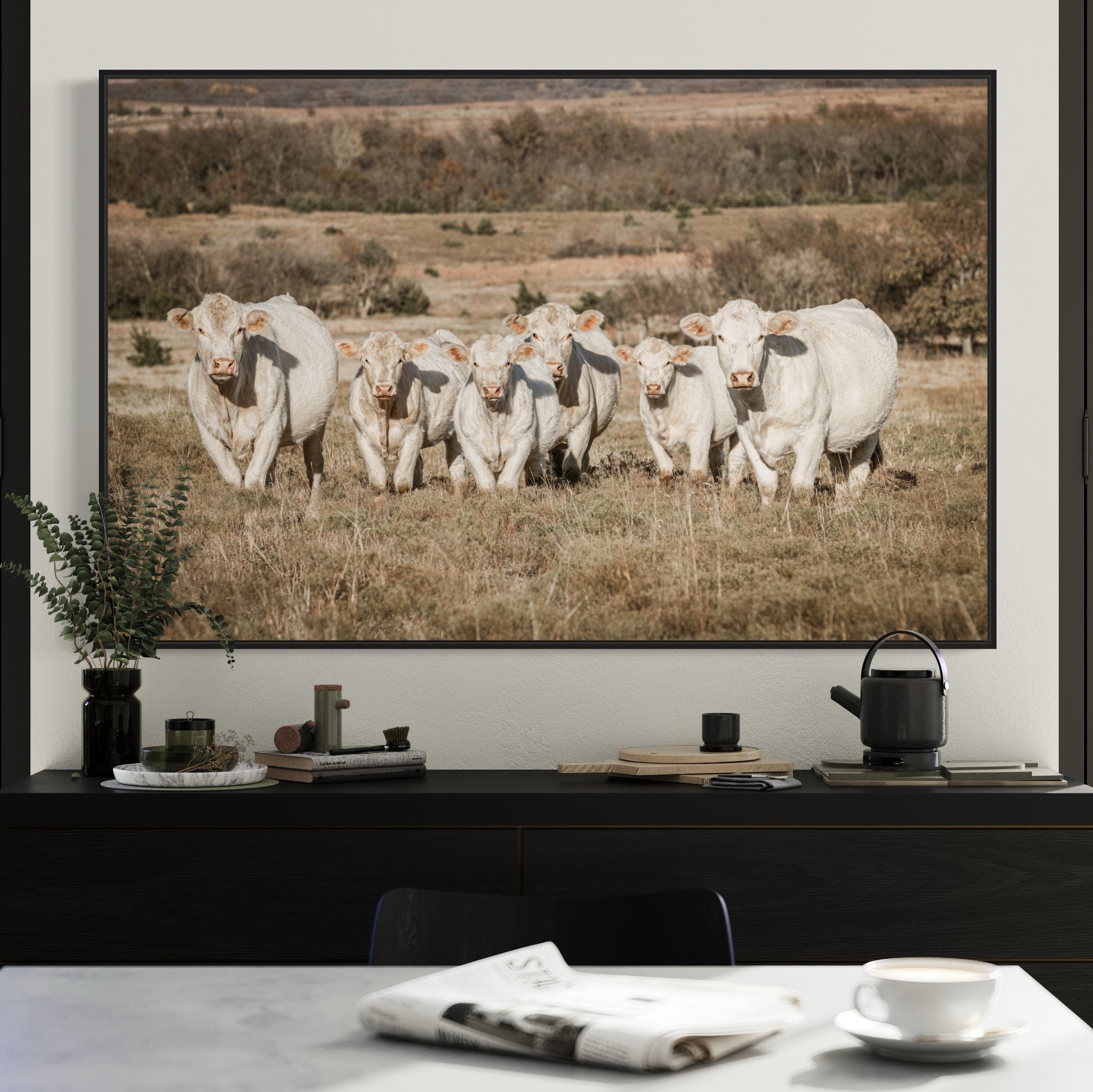 Charolais Cattle Wall Art: Perfect for Rustic Decor - Teri James ...