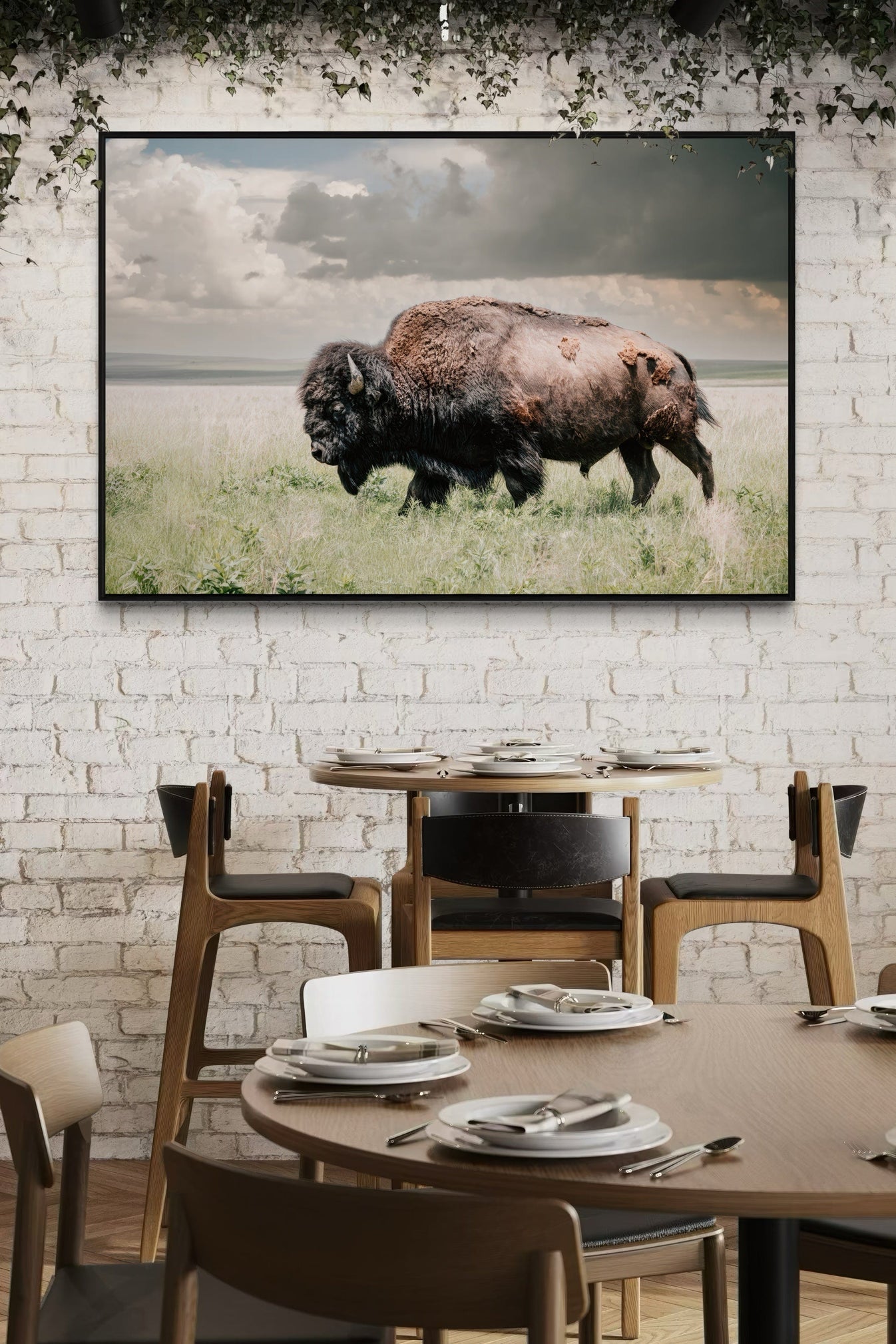 American Bison or Buffalo Canvas Print – Wild Elegance - Teri James ...