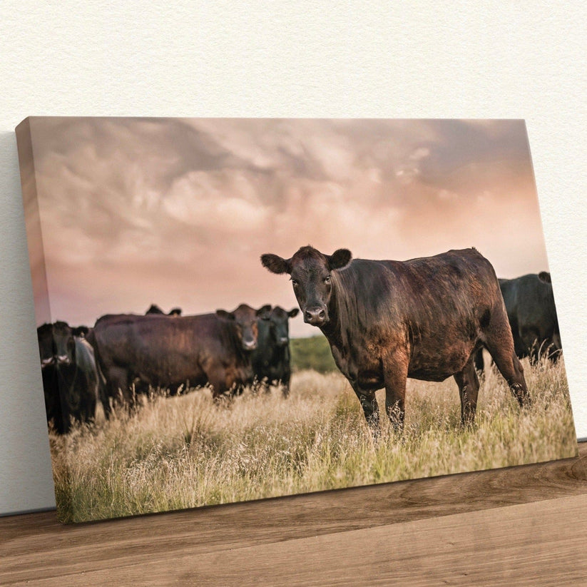 Black Angus Wall Art - Teri James Photography Canvas Print - Teri James ...