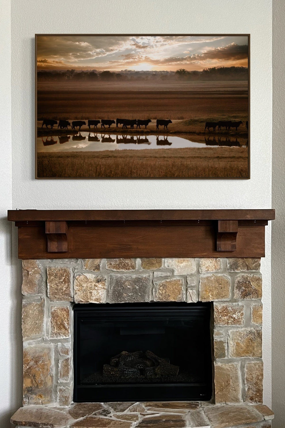 Black Angus Wall Art - Teri James Photography Rustic Print - Teri James ...