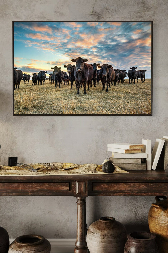 Black Angus Wall Art | Cows at Sunset - Teri James Photography