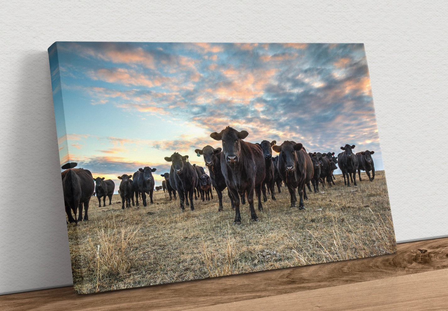 Black Angus Wall Art | Cows at Sunset - Teri James Photography