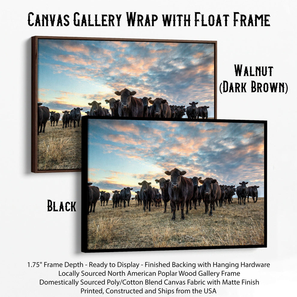 Black Angus Wall Art | Cows at Sunset - Teri James Photography