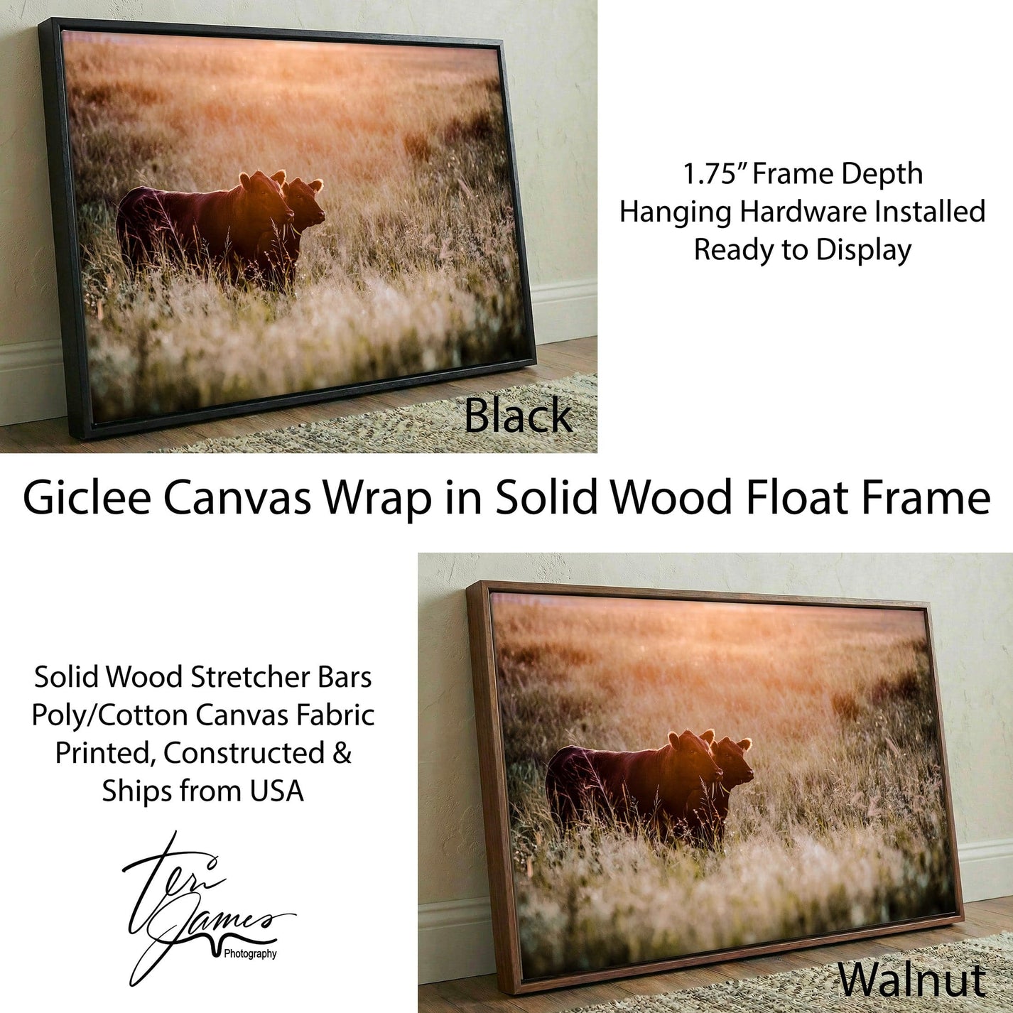 Large Black Angus Wall Art Canvas for Western Decor