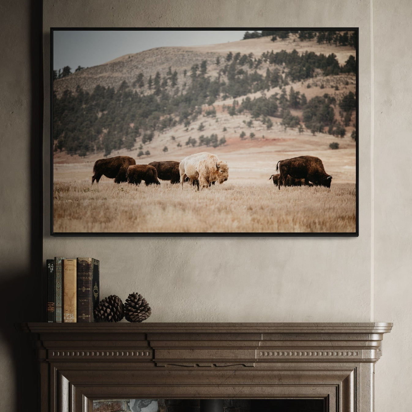 Great White Buffalo Canvas Print | White Bison Art - Teri James Photography