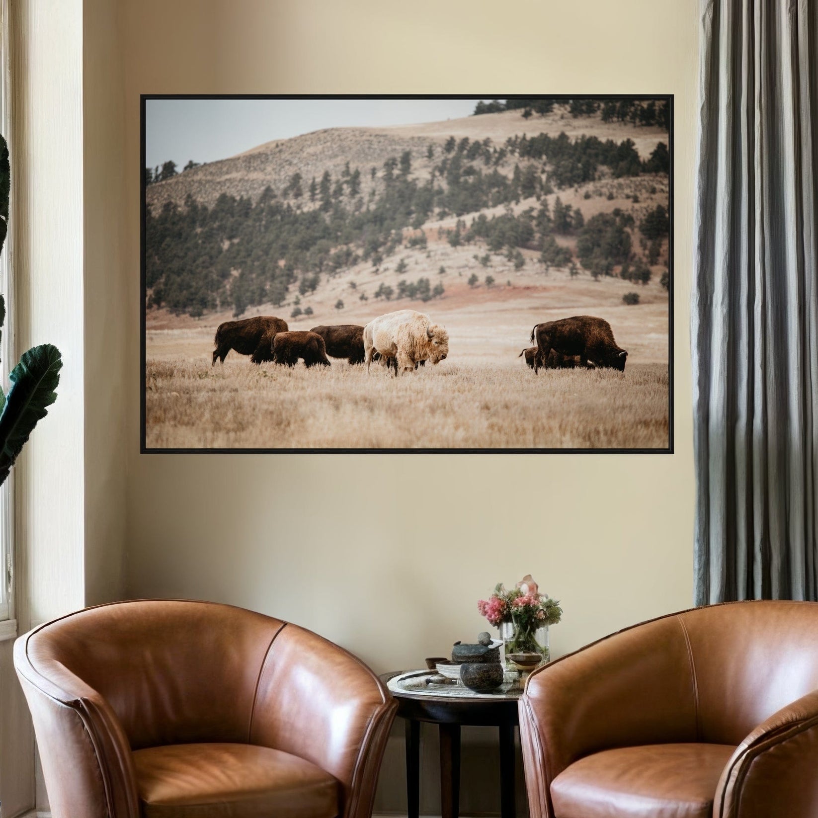 Great White Buffalo Canvas Print | White Bison Art - Teri James Photography