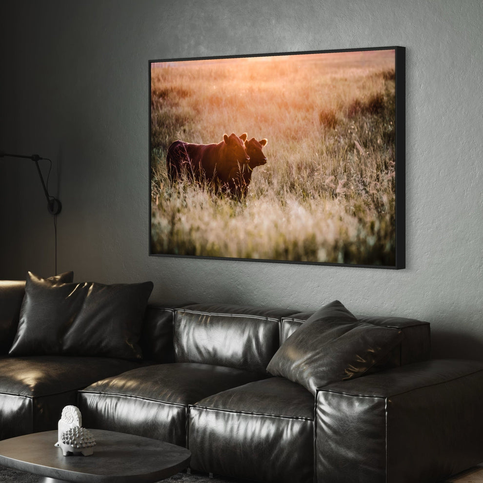 Large Black Angus Wall Art Canvas - Teri James Photography