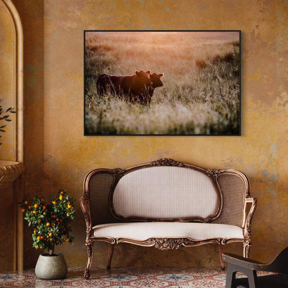 Large Black Angus Wall Art Canvas - Teri James Photography
