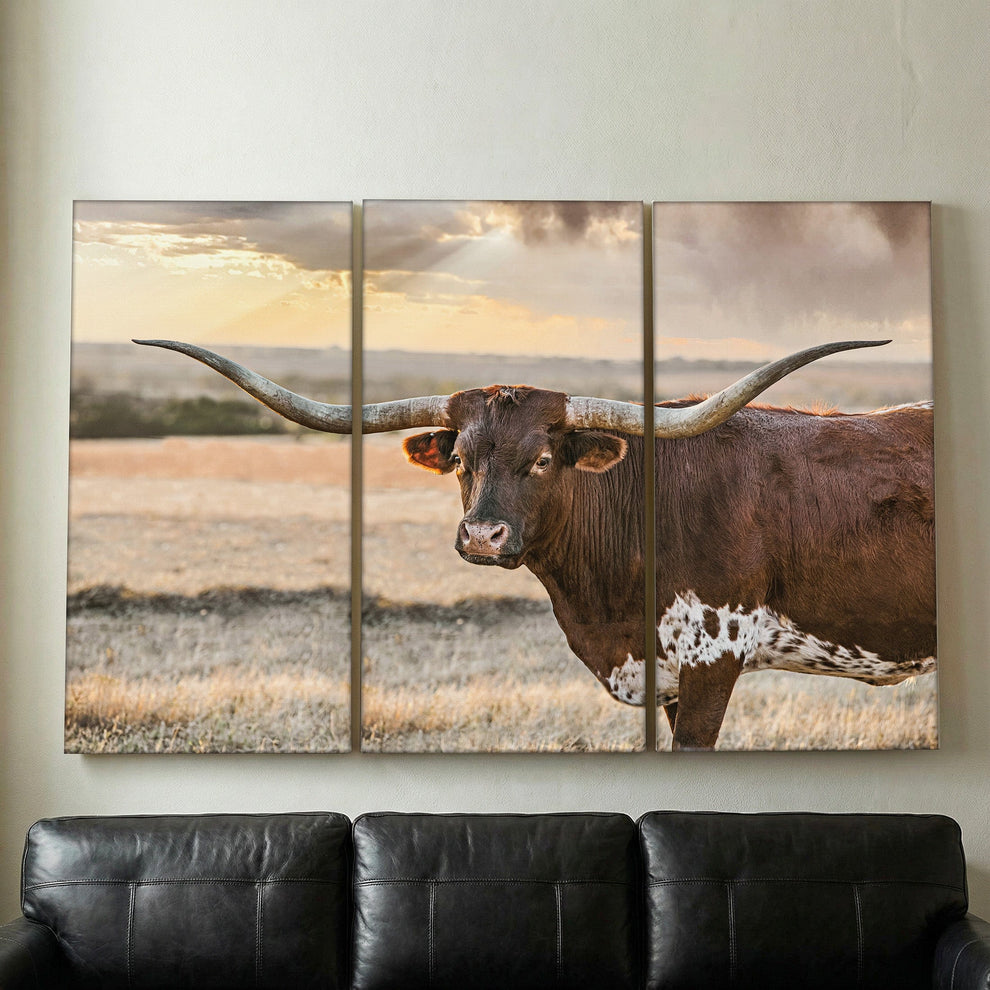 Longhorn Artwork Canvas - Teri James Photography Triptych - Teri James ...