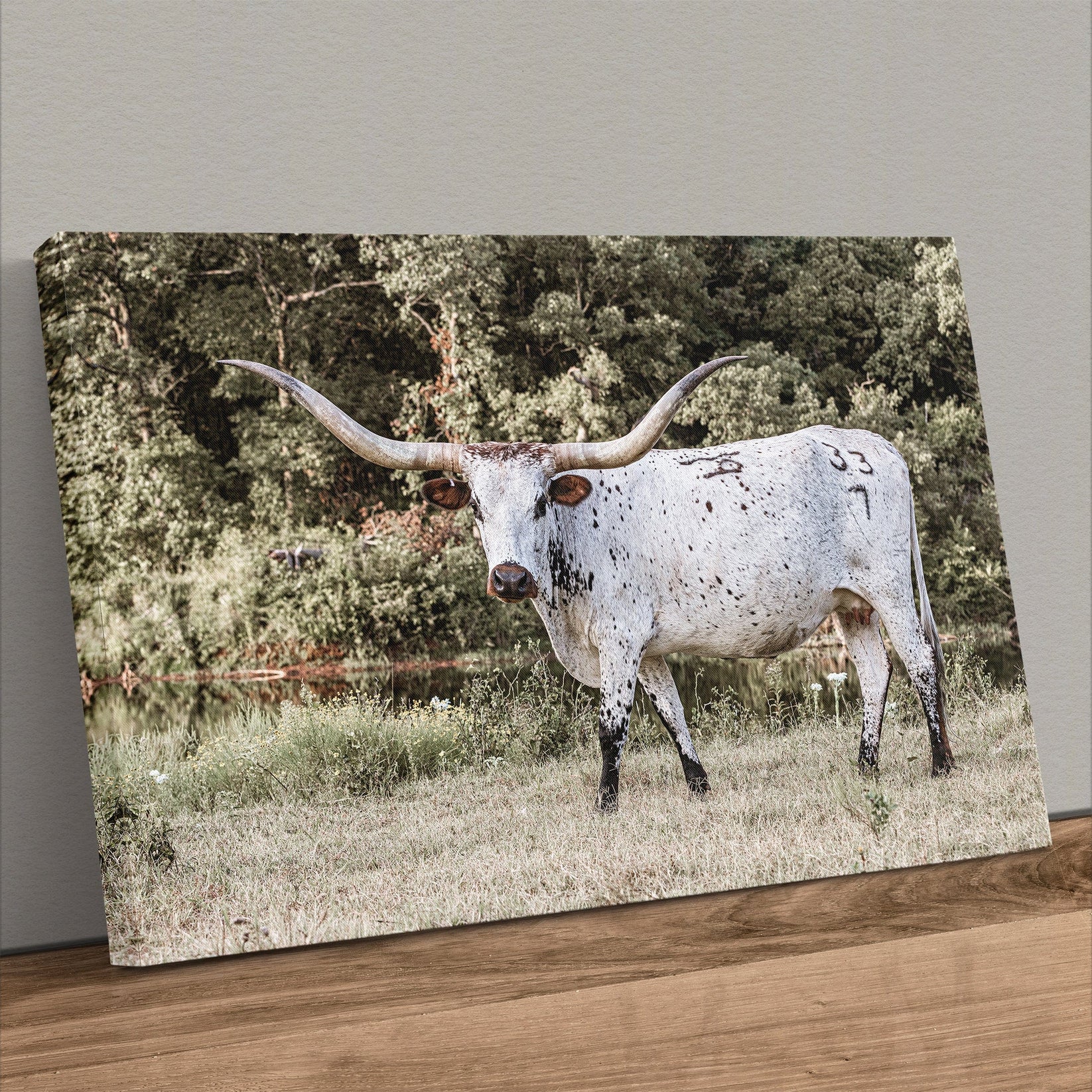 Longhorn Picture on Canvas – Modern Western Art - Teri James Photography