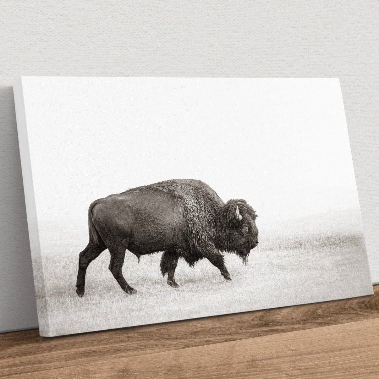 Minimalist Bison Art Canvas - Teri James Photography