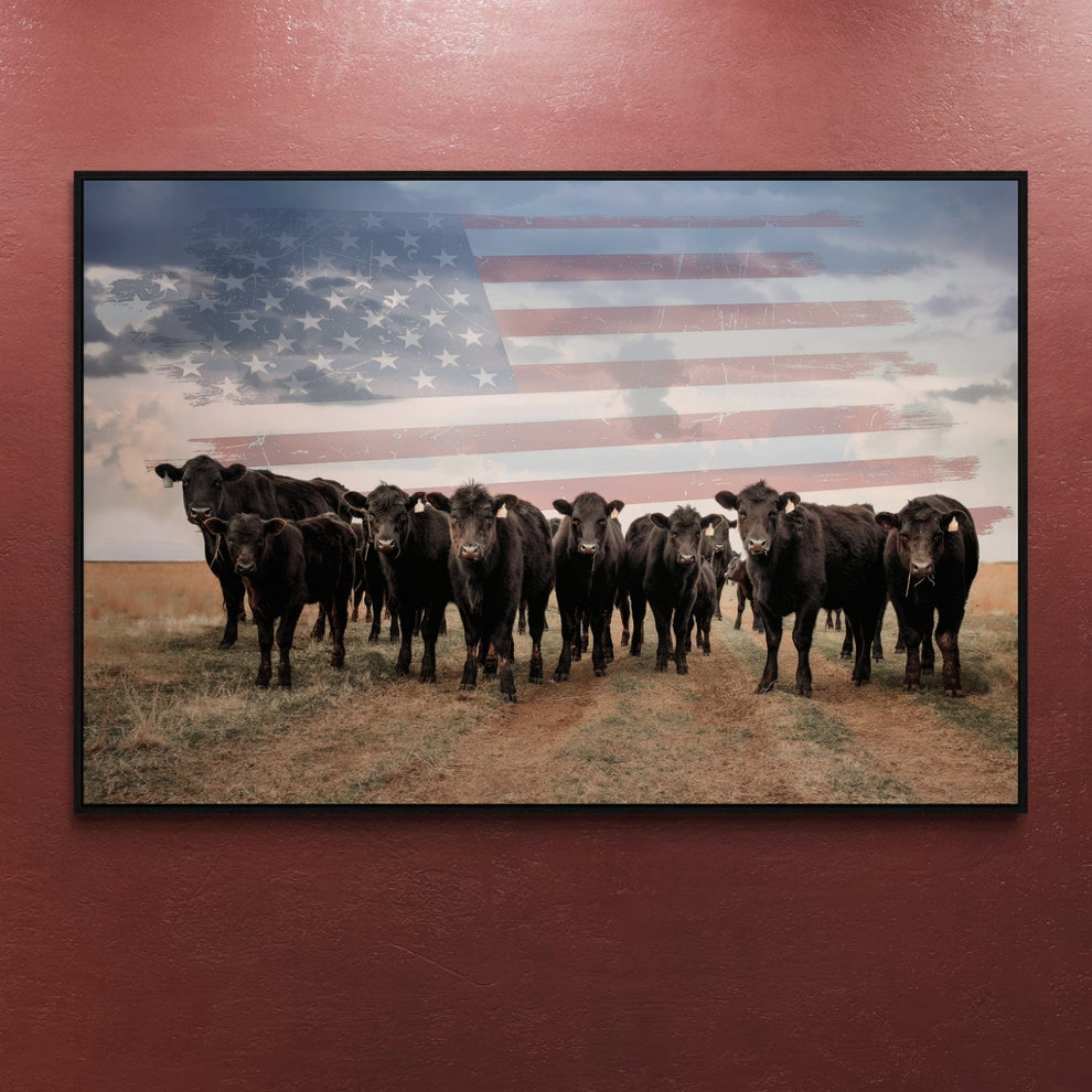 Patriotic Black Angus Cattle | American Flag Art - Teri James Photography