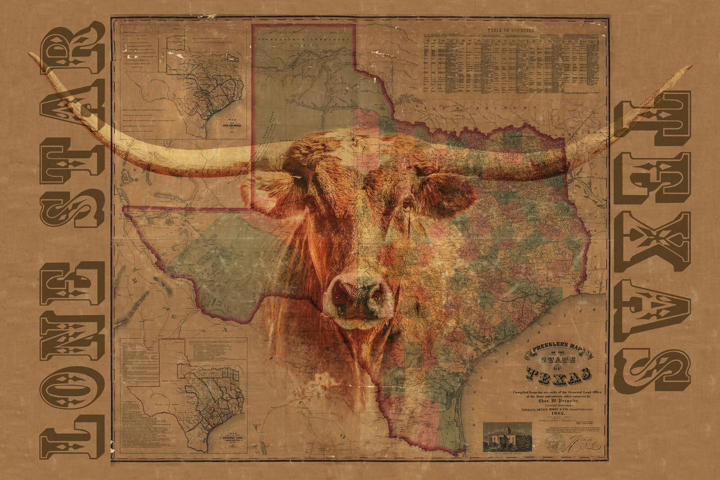 Texas Wall Art Map & Longhorn - Teri James Photography