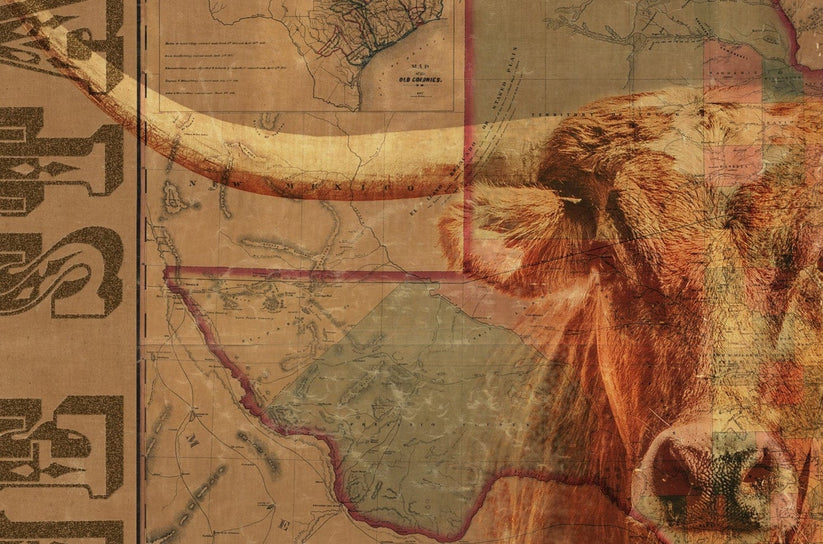 Texas Wall Art Map & Longhorn - Teri James Photography
