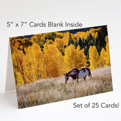 Western Greeting Cards - Rustic Note Cards - Teri James Photography