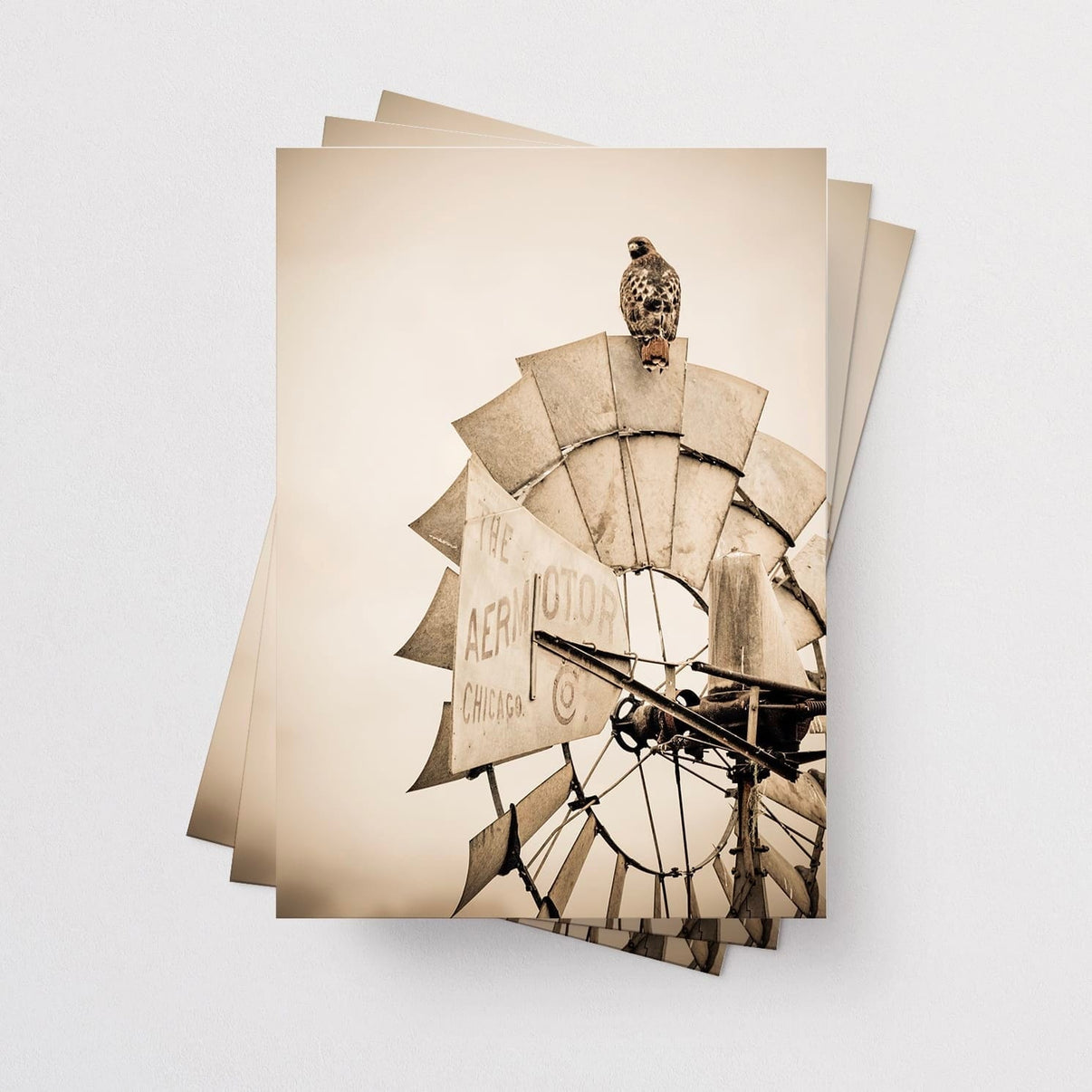 Western Greeting Cards - Rustic Note Cards - Teri James Photography