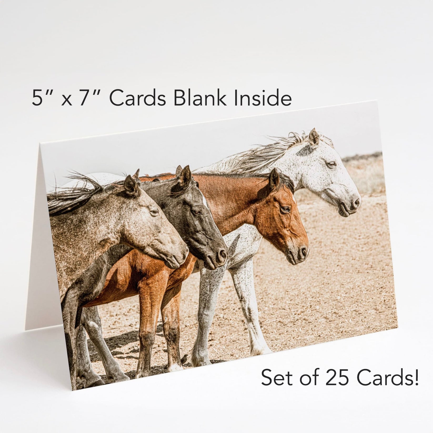 Western Greeting Cards - Rustic Note Cards - Teri James Photography
