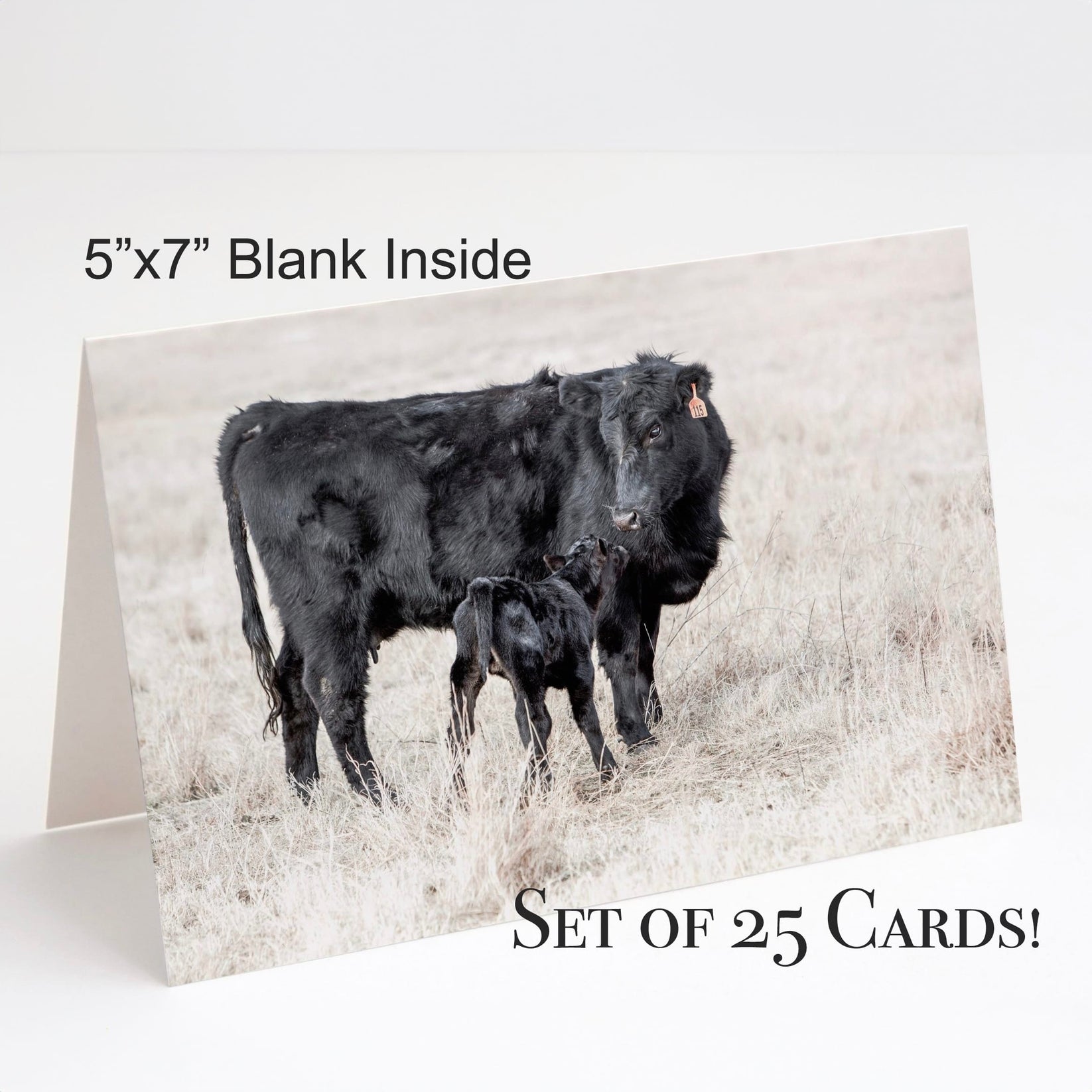 Western Greeting Cards - Rustic Note Cards - Teri James Photography