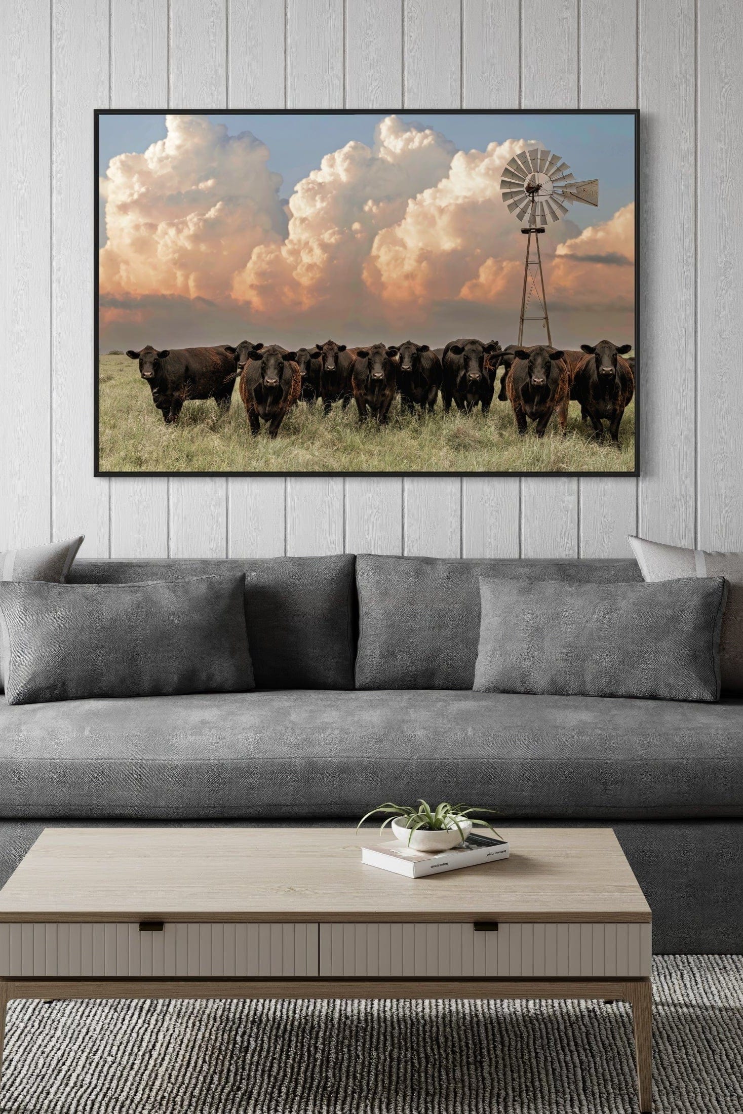 Western Landscape Art Print - Angus Cattle - Teri James Photography